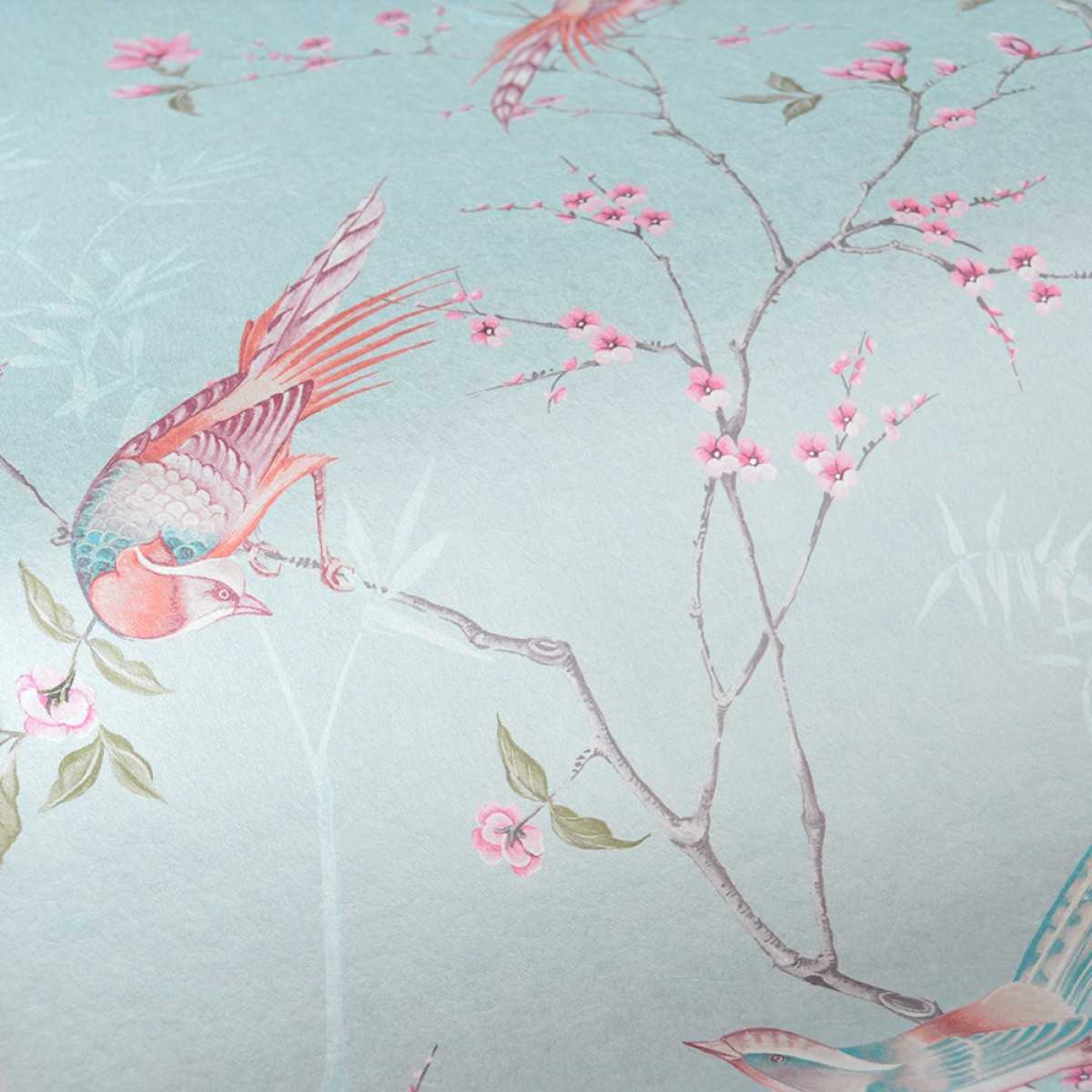 6 Perfect Light Blue Wallpapers to Use for Home