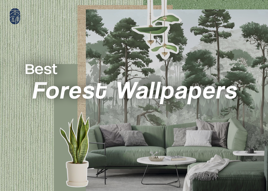 10 Best Forest Wallpaper to add Tranquillity to Your Home
