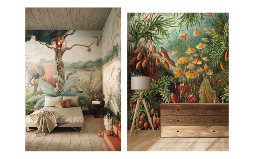 Wild at Heart: Adventure Interior Design for the Modern Explorer