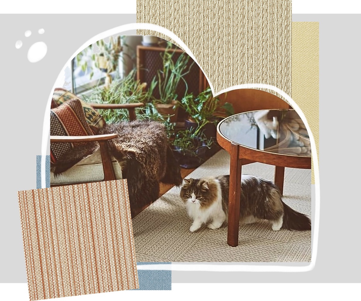 The Best Pet Carpet Buying Guide: Expert Tips for Pet Owners